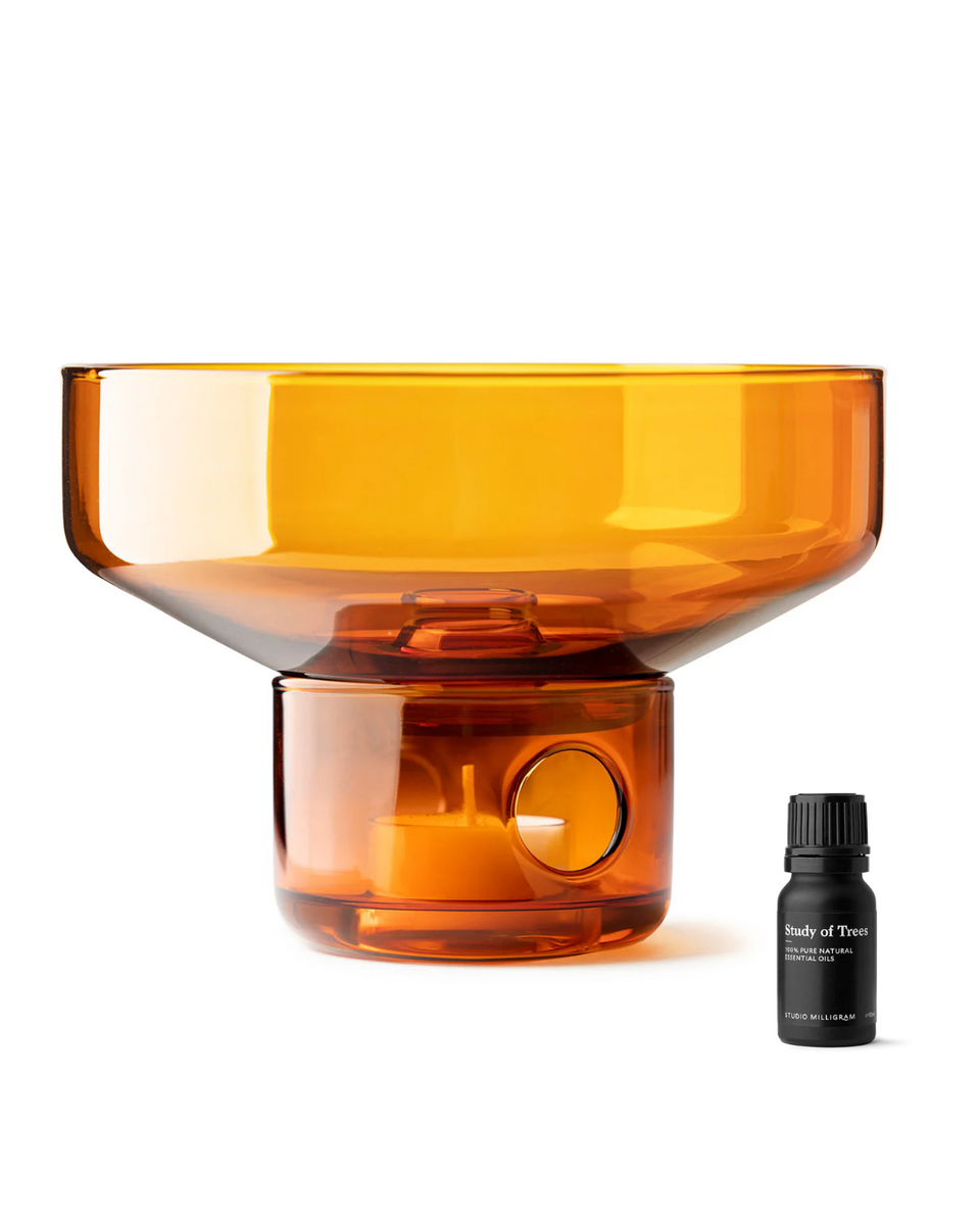 Glass Oil Burner and Essential Oil Set – NEST